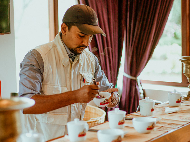 Tea Estate Bungalows in Sri Lanka | Stafford Tea Plantation